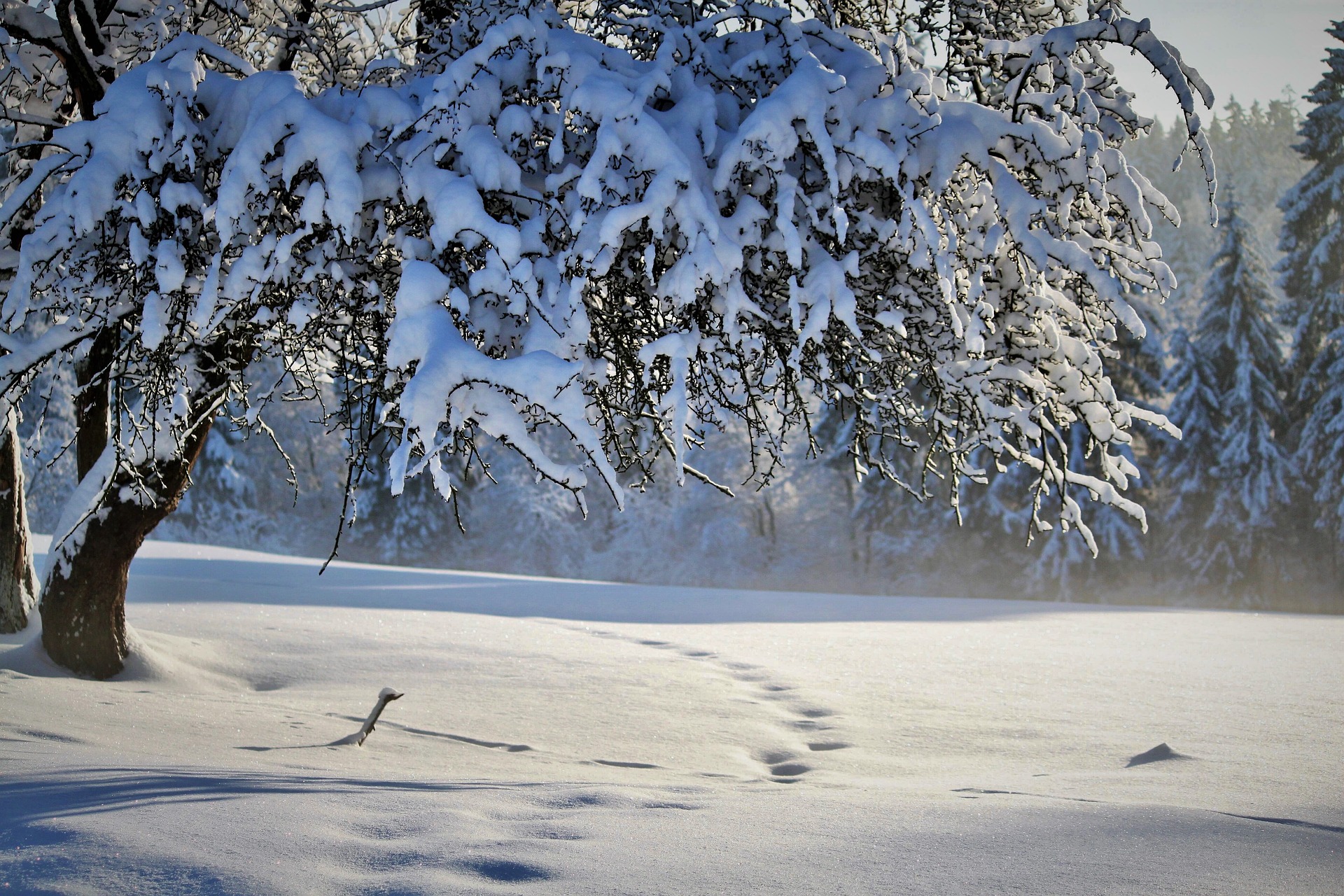 Ofertas esquí SEMANA BLANCA SIERRA NEVADA | Uniski.es - Viajes ski